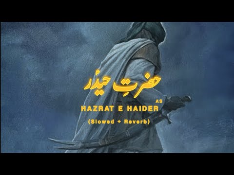 Hazrat e Haider | Slowed + Reverb | Haj Mahmoud Karimi