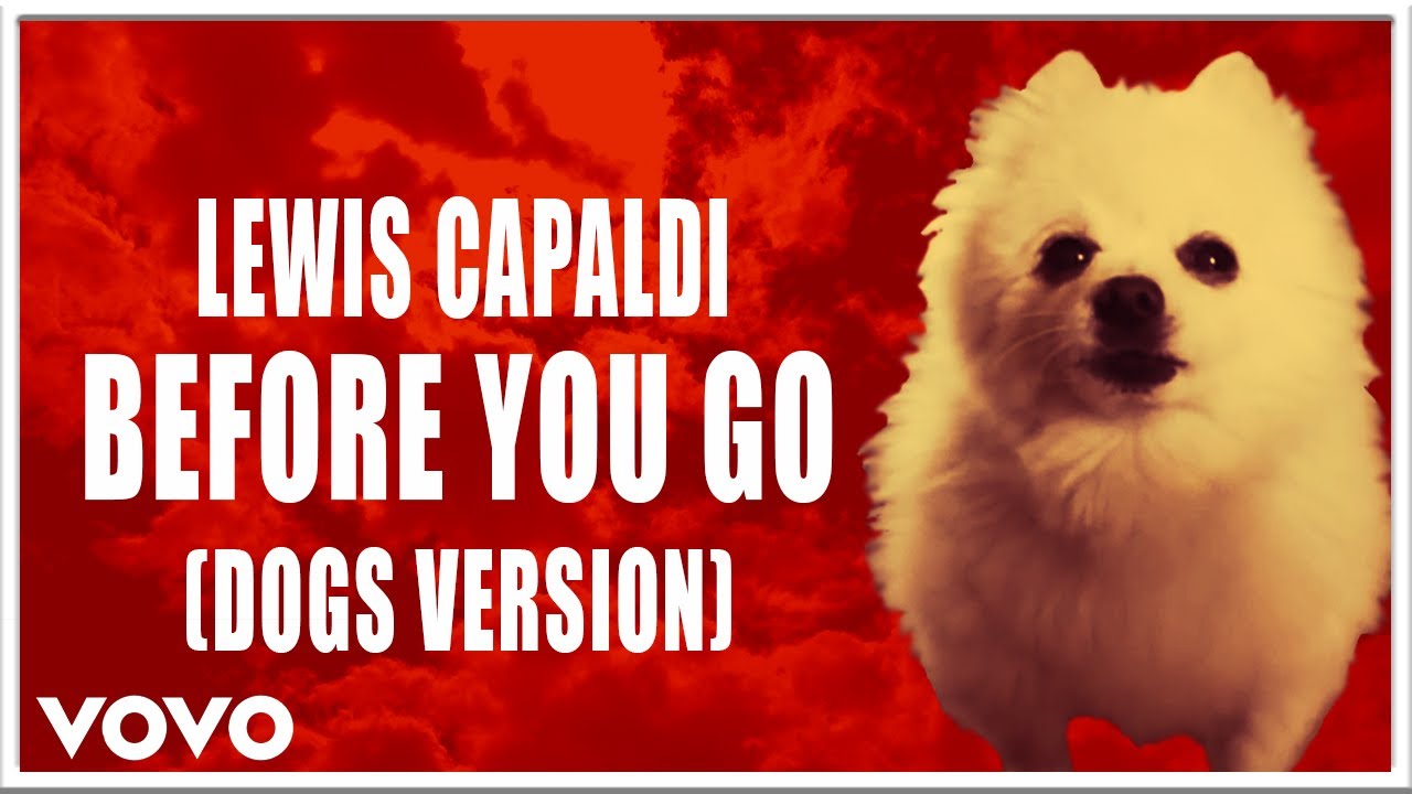 Lewis Capaldi - Before You Dog (Dogs Version) - YouTube