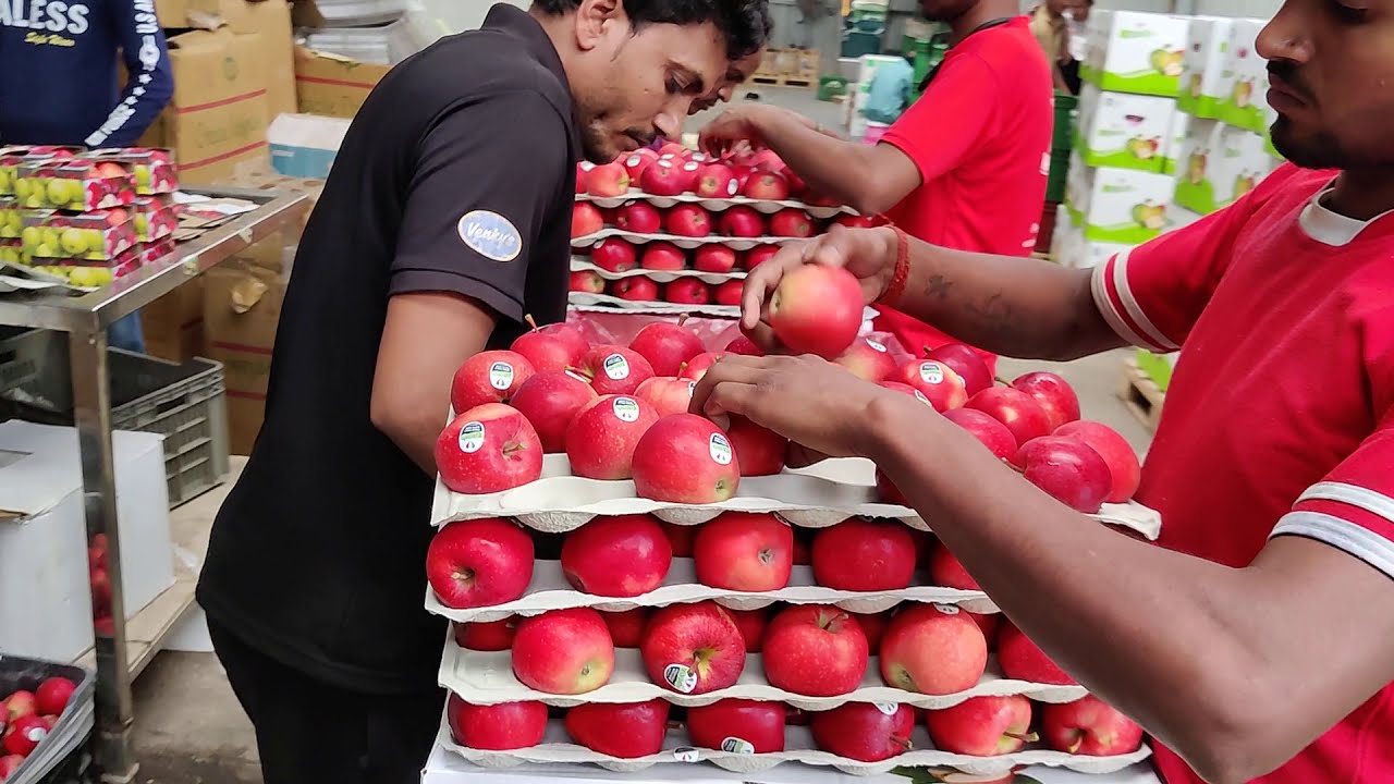 Our Fruit Pack House For Imported Fruits And Mangoes At Vashi, Navi ...