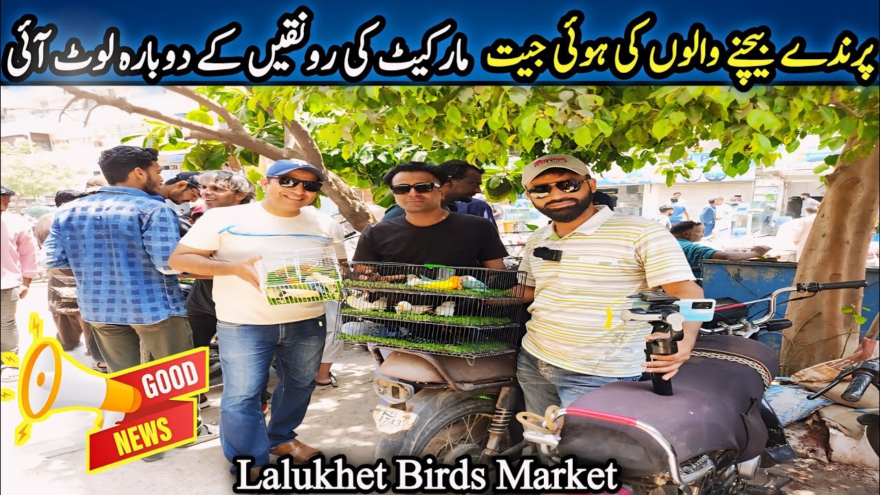 Lalukhet Sunday Birds Market 2024 Latest Update | Cheapest Exotic ...
