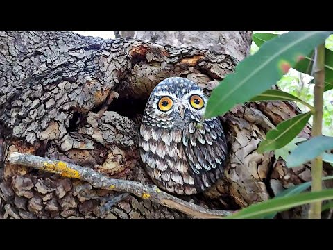 Taş boyama/Kolay  Baykuş Yapımı/stone painting/ Making Stone Owl
