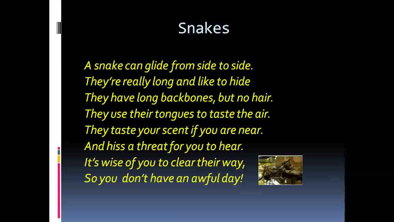 English - Poems for Grade 7 - Part 1 - YouTube