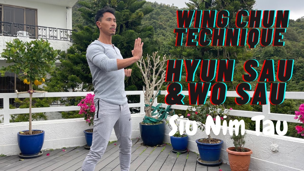 Wing Chun Sil Lim Tao (Siu Nim Tau) First Form Basics - Part 5 - YouTube