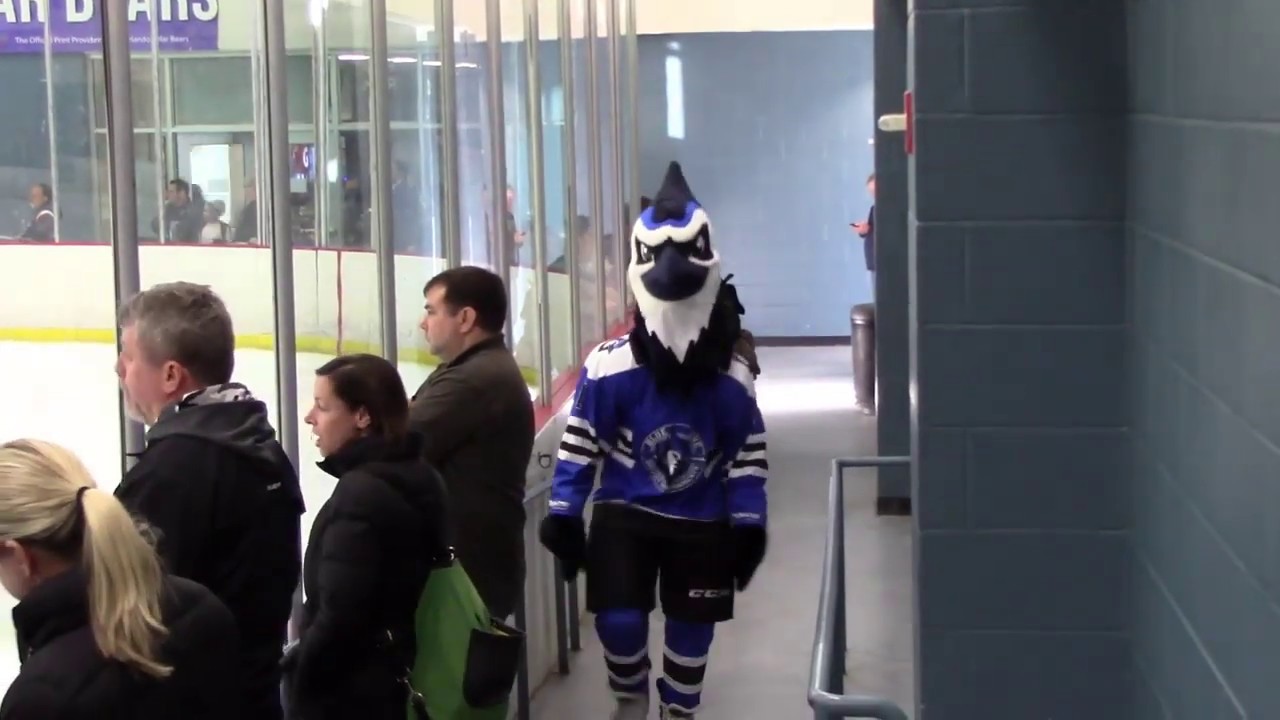 Period 2 Falcons vs Carolina Rage 05 Championship Game - YouTube