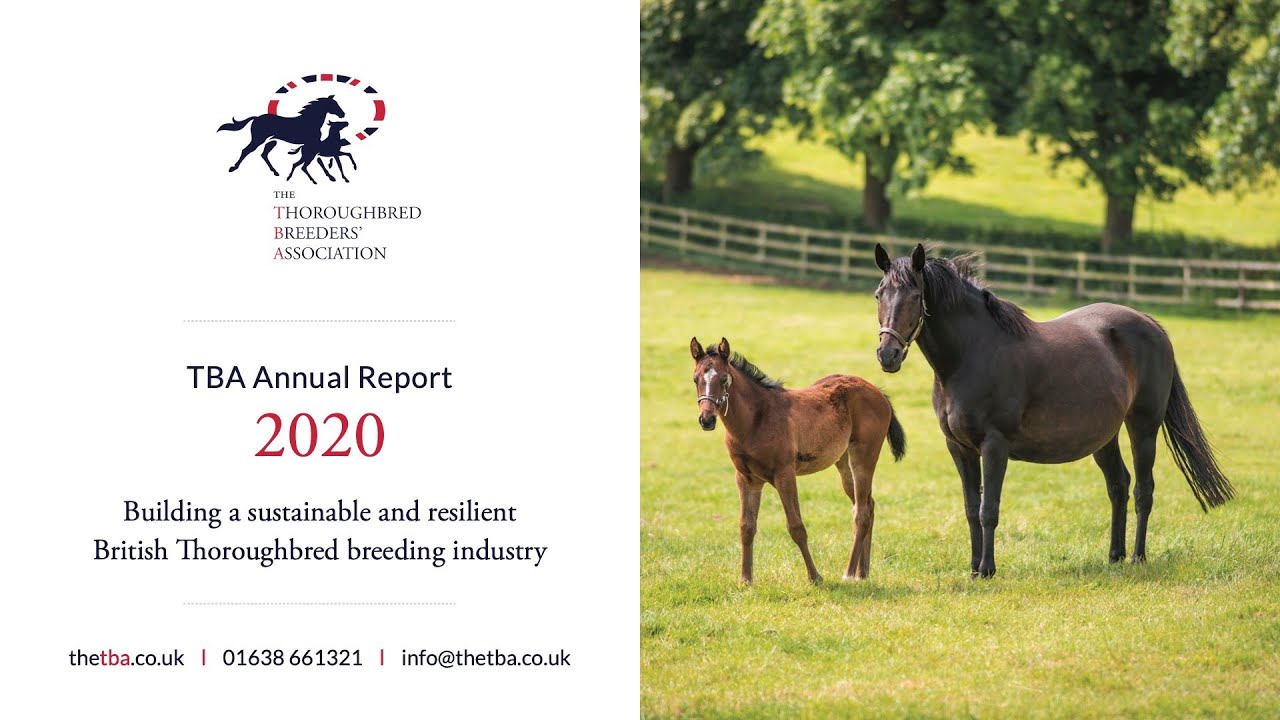 TBA 2020 Annual Report - highlights - YouTube
