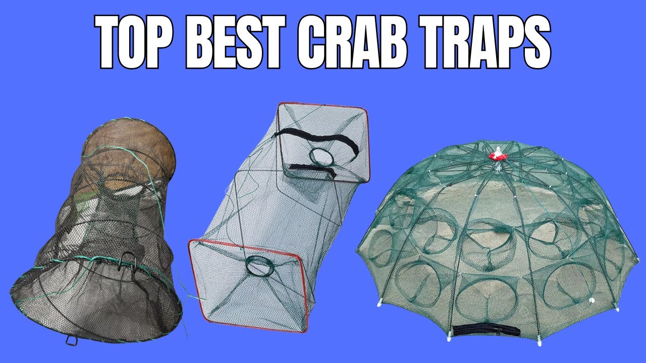 Top Best Crab Traps for Recreational and Professional Use on AliExpress ...