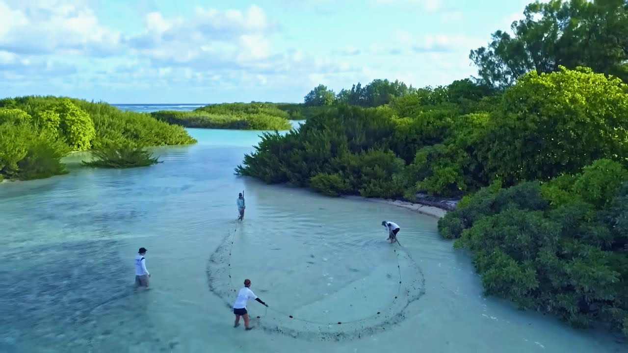 Journeying To The Breathtaking Landscapes Of The Natural World | Wild ...
