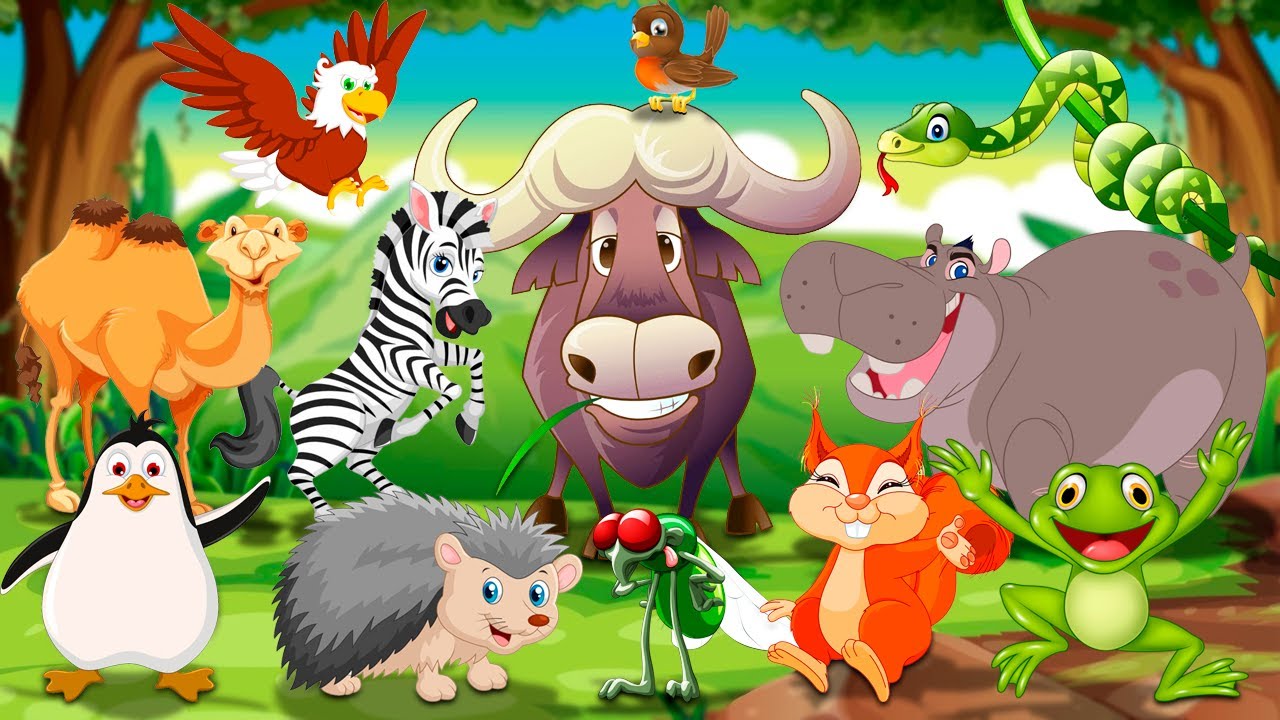 Cute and amazing animals. Sounds hippo, dolphin, snake, hedgehog, cat ...