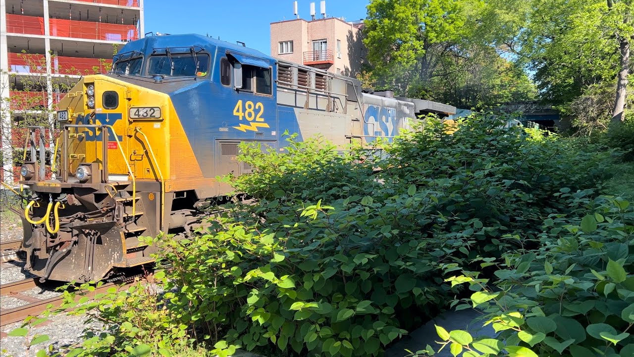CSX: YN2 AC44 leads a short Westbound Y102 with 29 cars to Fresh Pond ...