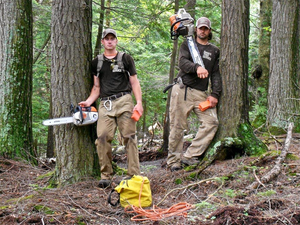 Dano's Tree Service - YouTube