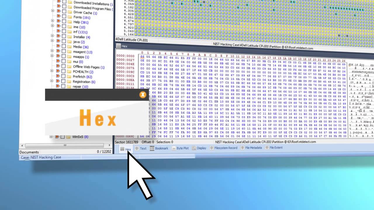 Forensic Explorer - Software Demo - YouTube