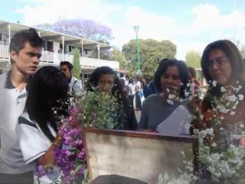 CETis 139 - Muestra de Altares de Dolores | 2012 - Turno Vespertino ...