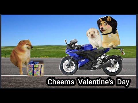 Cheems valentines day Troll / Cheems Thalivan - YouTube