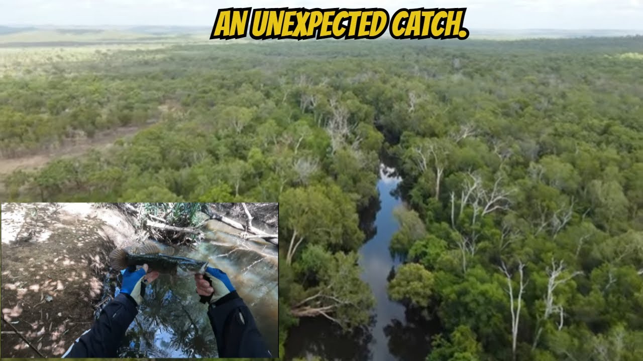 An unexpected surprise, a Sleepy Cod. - YouTube