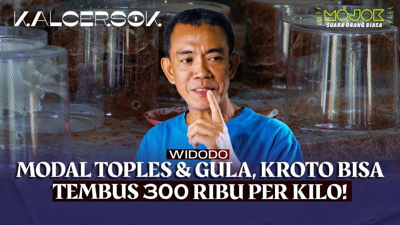 CARA BUDIDAYA KROTO TANPA RATU ALA PAK WIDODO | KALCERSOK - YouTube
