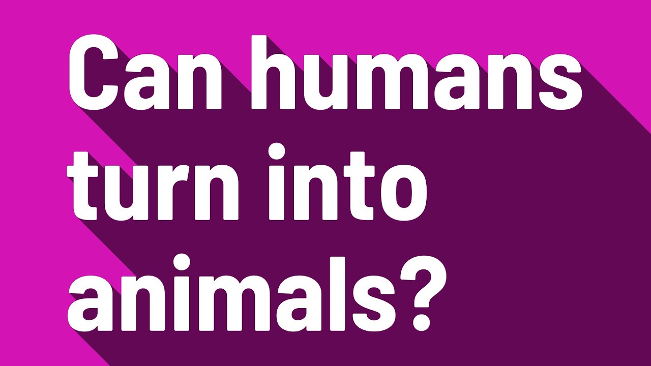 Can humans turn into animals? - YouTube