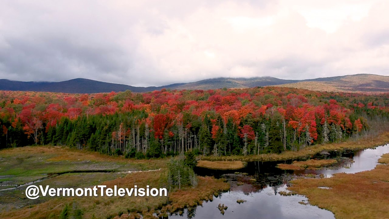 Vermont Fall Foliage 2019 - VTTV Drone Edit 1 - YouTube