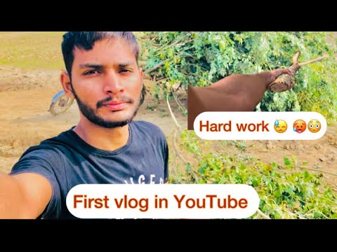 My first blog in YouTube 😍hard work🥵🌞in village lifestyle @U-team Vlogs ...