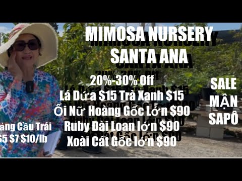 Mimosa Nursery Santa Ana Still Sale 20%-30% Off Have Ap Ap2 Fruits Sale ...