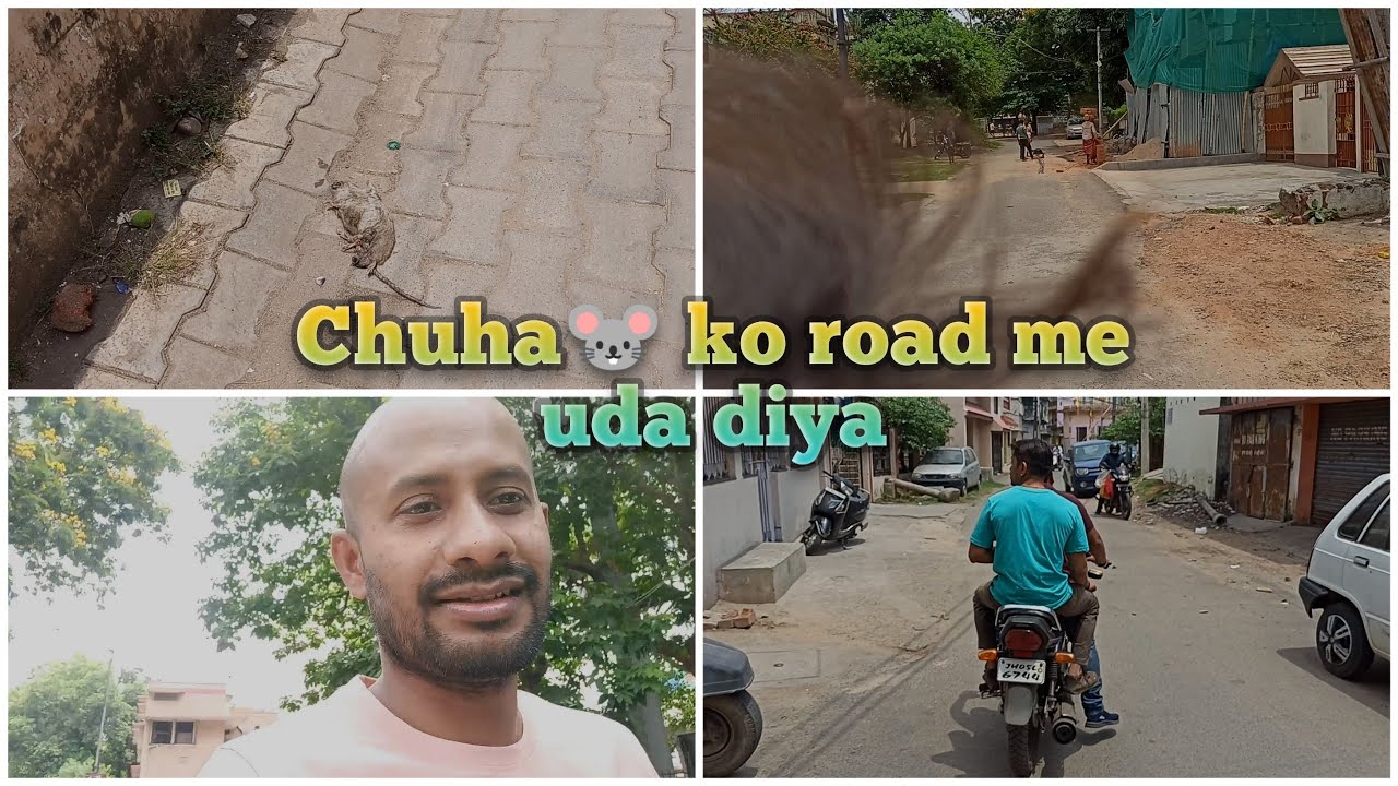 Kya Insaan Hai Rasta Me Itna Bada Chuha 🐭 Nahi Dikha Uda Dala | Daily ...