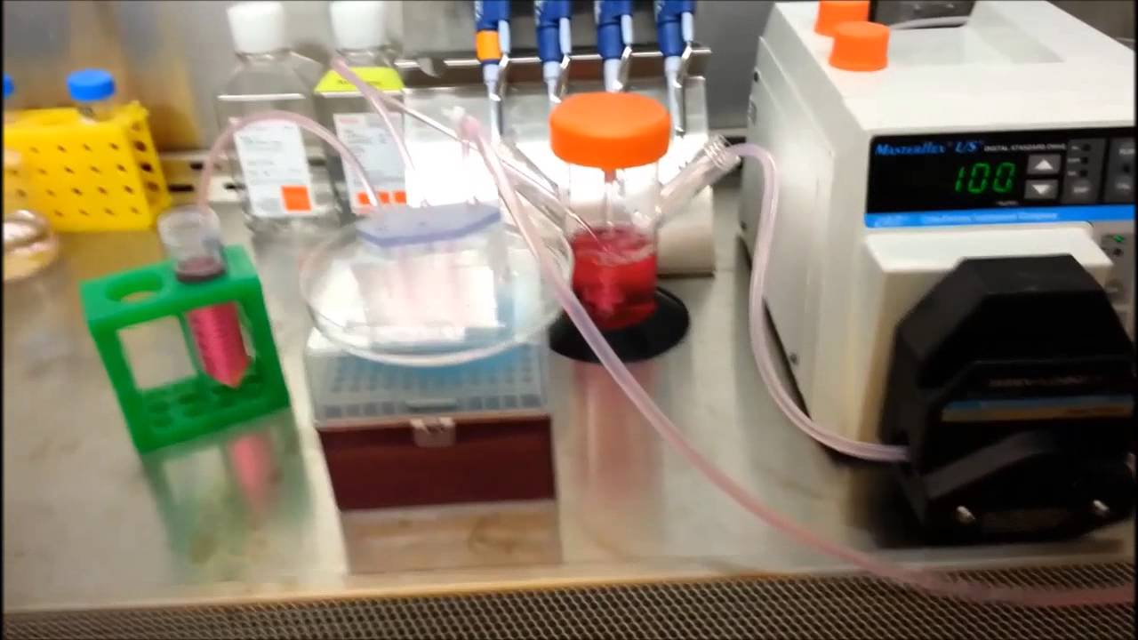 Membrane-less microfiltration using inertial microfluidics - YouTube