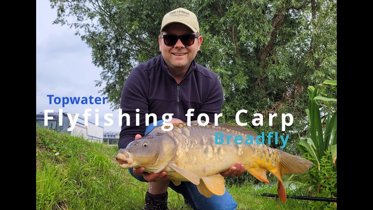 Fly fishing for Carp on the topwater with the breadfly - YouTube