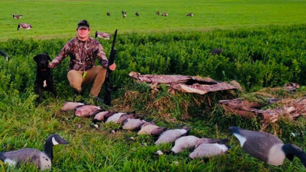 Goose Hunting - 1st Good Hunt! - YouTube