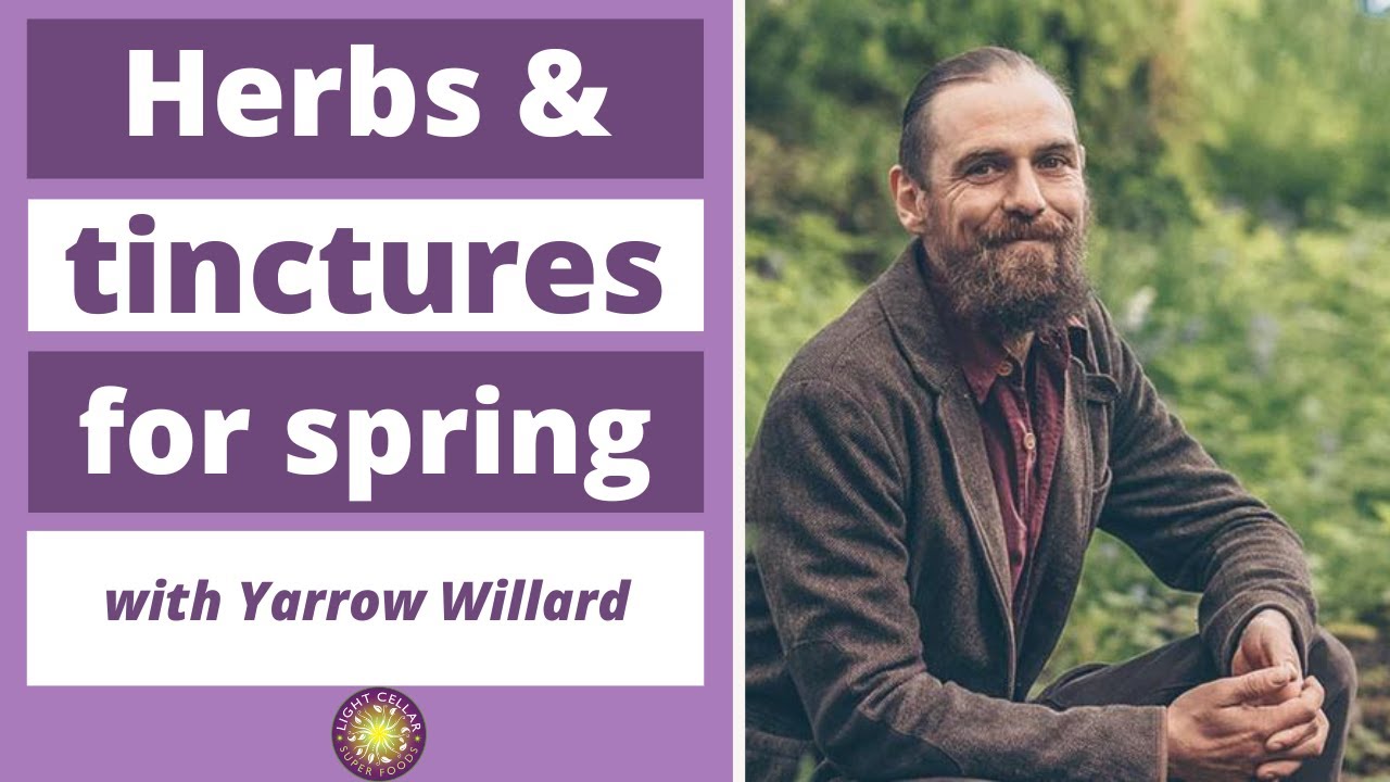 Herbs & Tinctures for Spring with Yarrow Willard Cl.H - YouTube