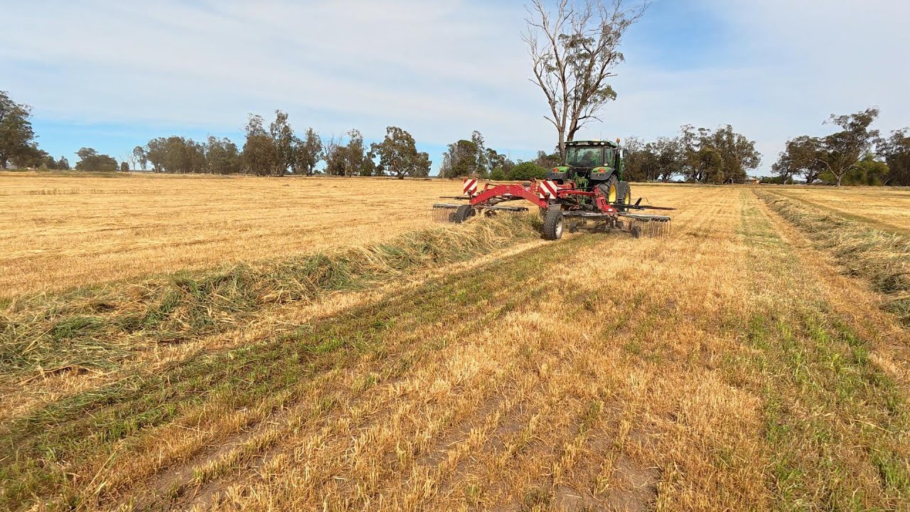 Hay season, what day of the week is it? - YouTube