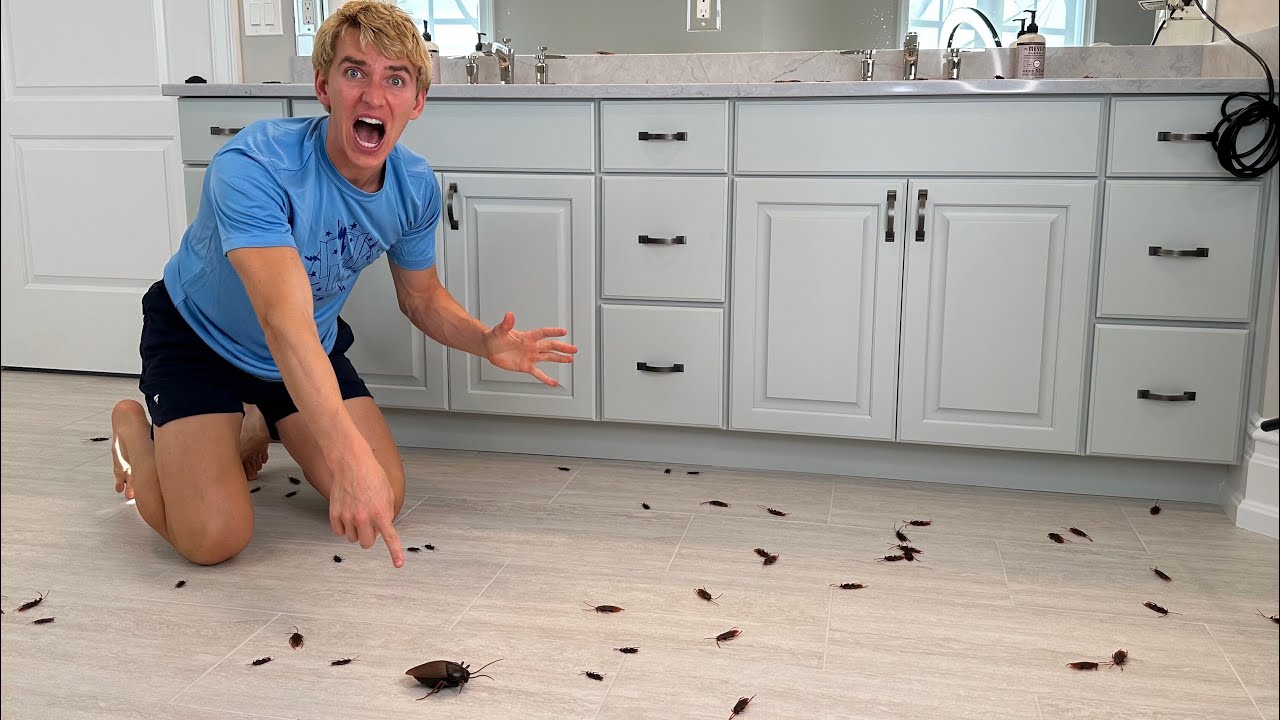 We Found BUG INFESTATION in my Sisters Bed Room!! - YouTube