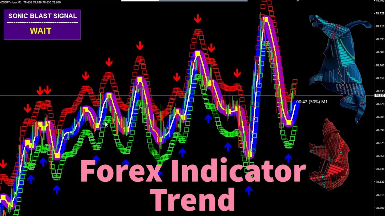 Forex Sonic Blast Indicator System | MACFOREX| English Lectures - YouTube