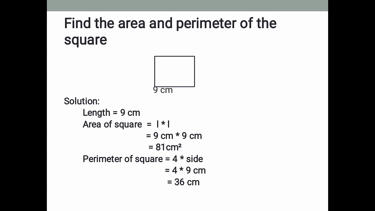 Maths B Class 6th Area & Perimeter of Square - YouTube