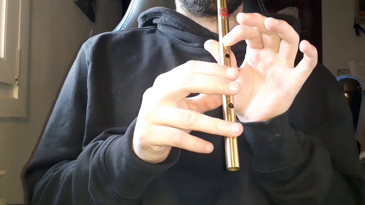 TURKEY IN THE STRAW-TIN WHISTLE - YouTube