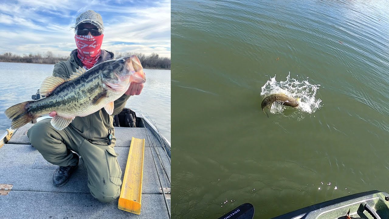 Caught me a good one!!!!! (We're back!!!!!!) - YouTube
