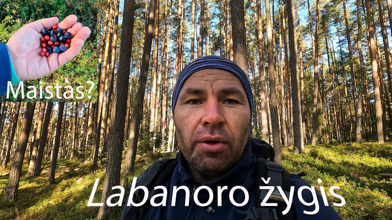 12 ežerų žygis Labanoro girioj. II dalis. - YouTube