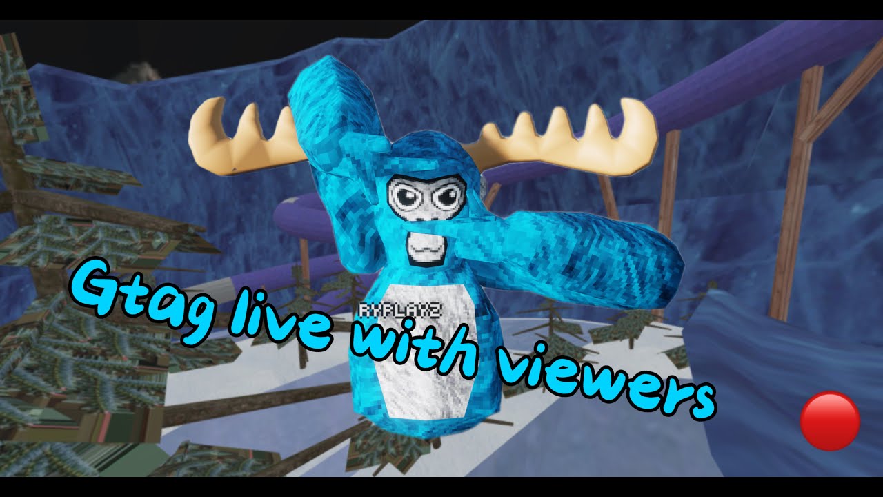 gtag with fans - YouTube