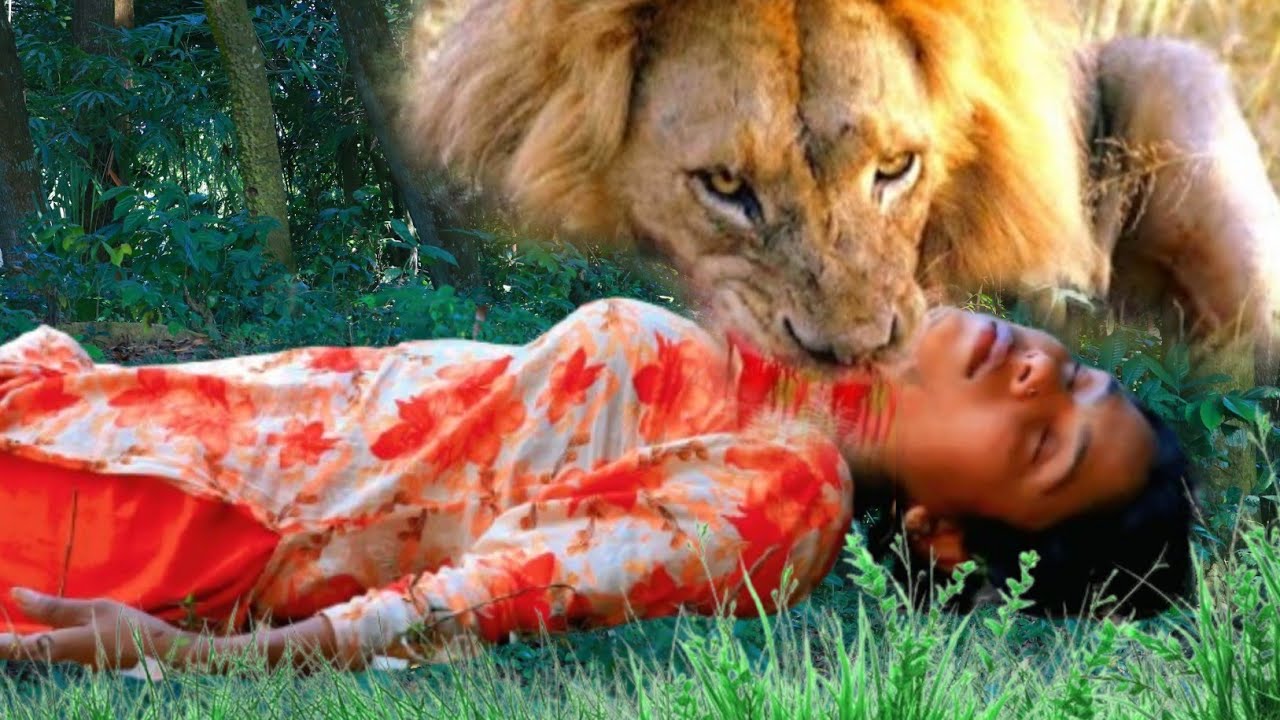 Lion Attack Man in Forest Lion Attack Hunter Lion Attack Stories Part A ...