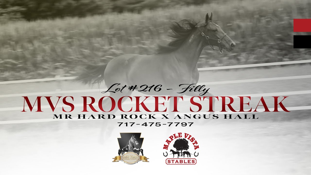 Lot# 216 @ECSYS ** MVS Rocket Streak- filly (Mr Hard Rock- Angus Hall ...