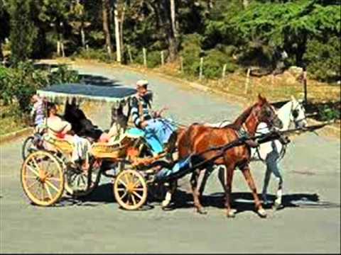 İSTANBUL TÜRKÜLERİ Sarıyer'in ortasında