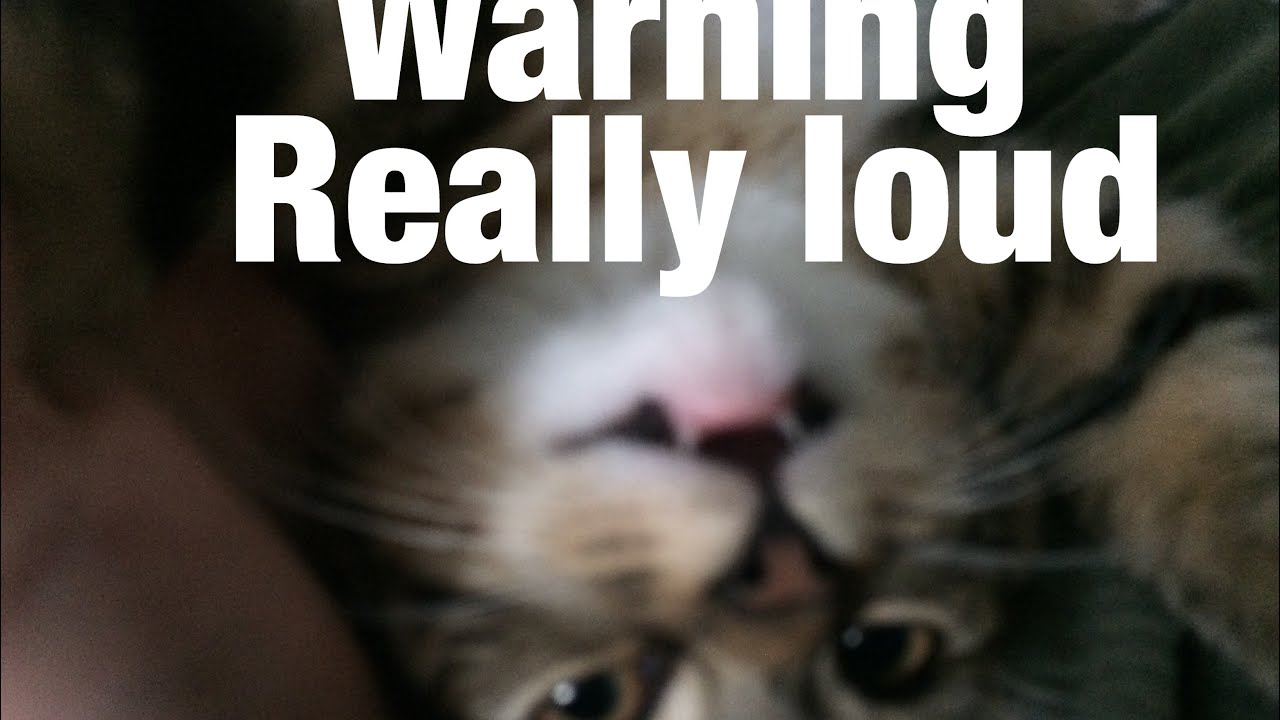 Warning contains a loud screaming - YouTube