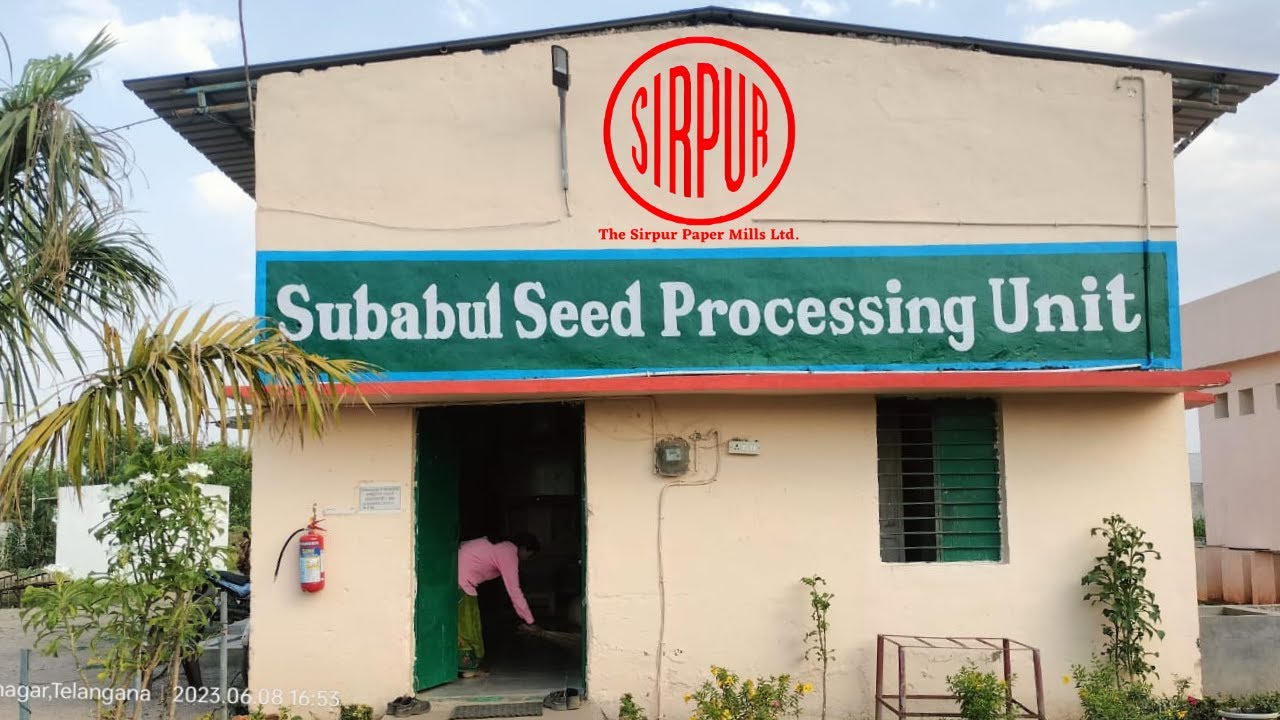 K636 వెరైటీ సుబాబుల్ సీడ్‌ను కొనుగోలు చేయండి, SPM Subabul Seed ...