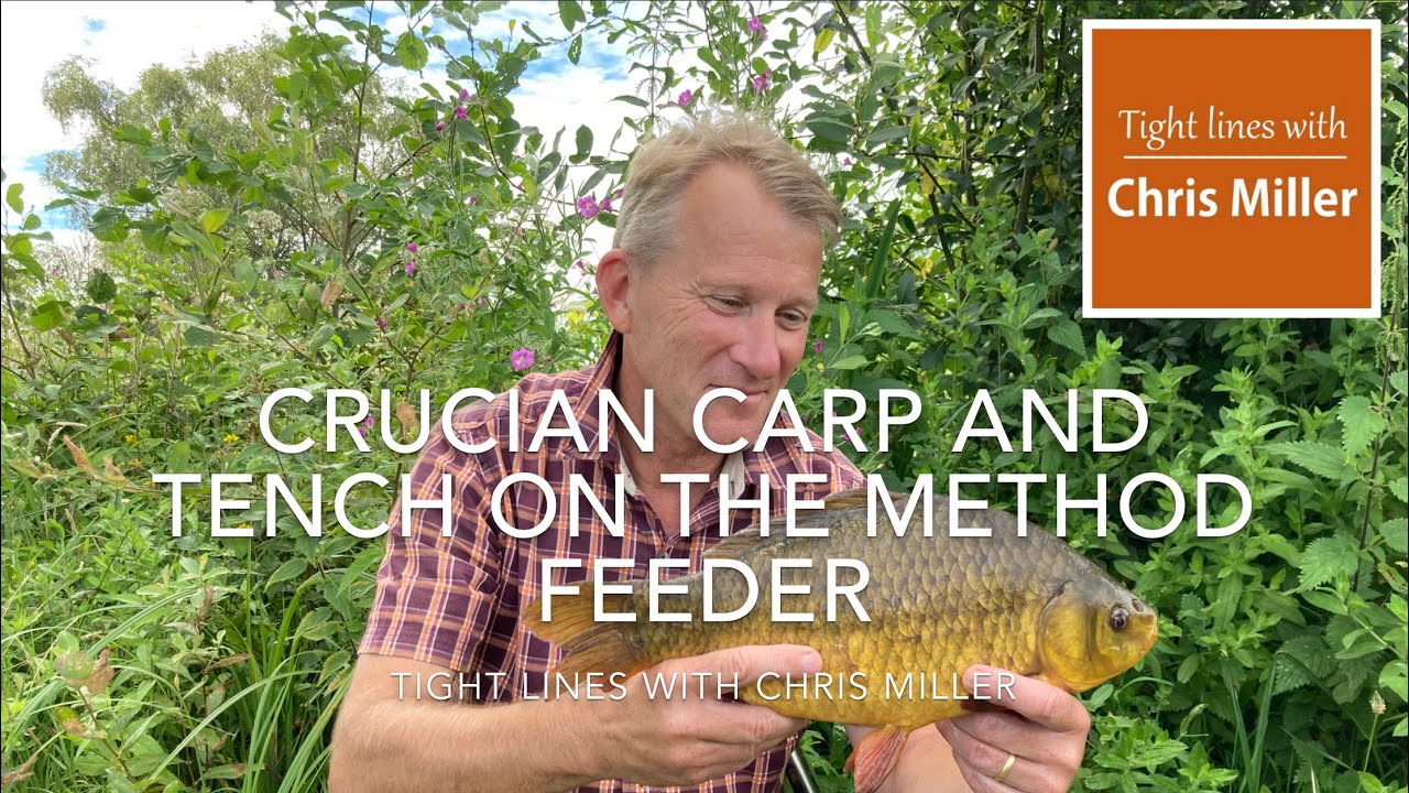 Crucian carp and tench on the method feeder - YouTube