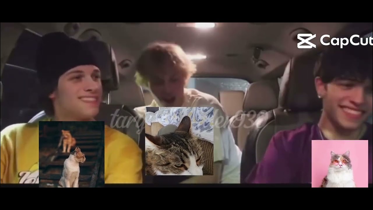 It will taste the rainbow, lol - YouTube