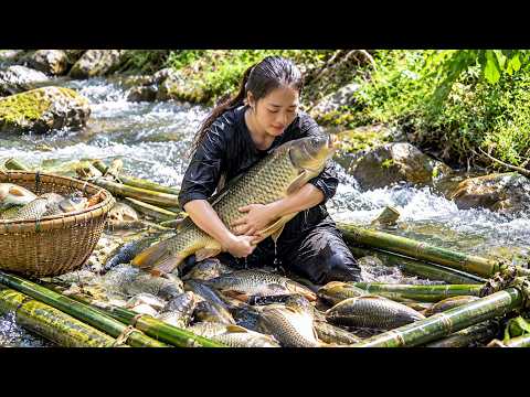 Full video: Single Mom Does Something That Moves Everyone – The Journey to Build a New Life