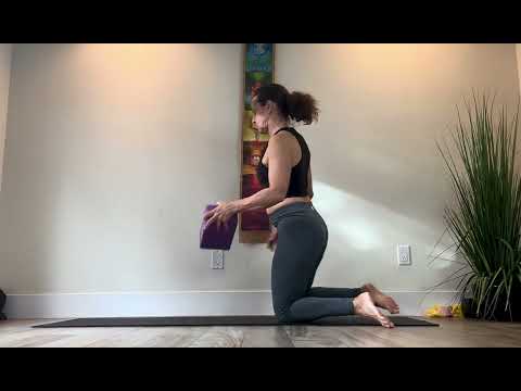 Sun bird modifications for students with weak legs. - YouTube