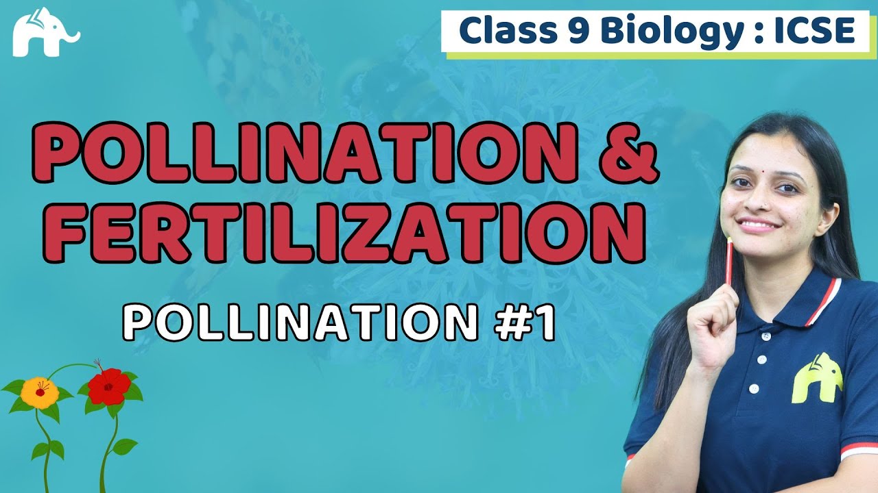 Pollination & Fertilization Class 9 ICSE Biology | Chapter 4 | Selina | Pollination #1 - YouTube
