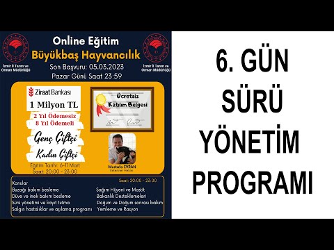 Büyükbaş Sürü Yönetimi Online Kurs İzmir İl Tarım ve Orman Müdürlüğü 6. Gün Sürü Yönetimi