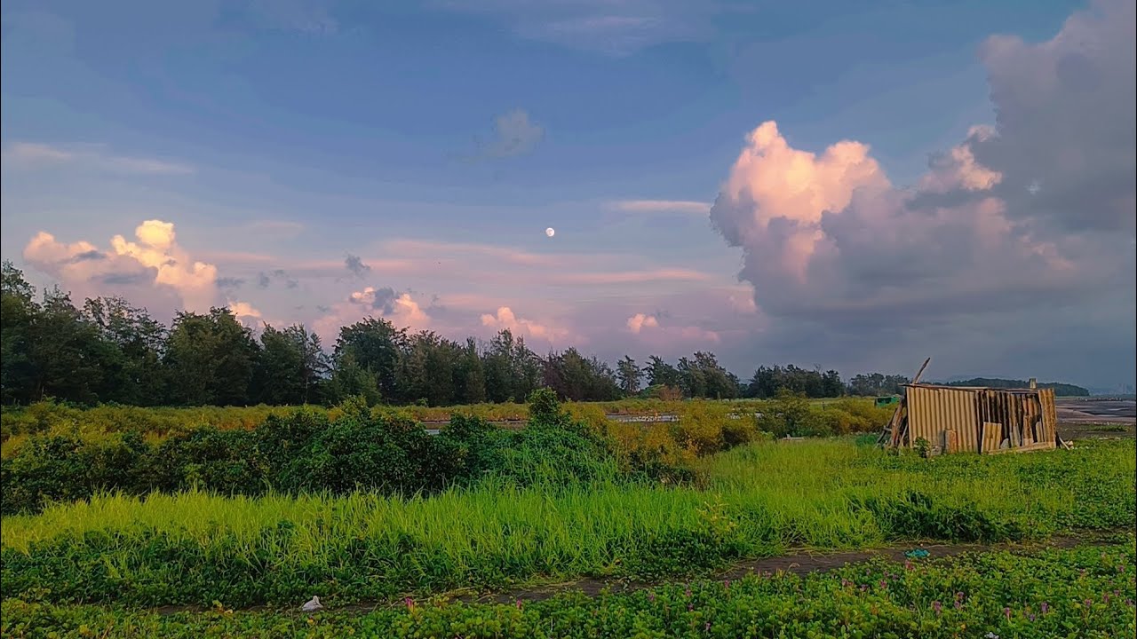 A glimpse of Vasai's Bena beach ! - YouTube