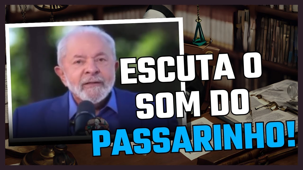 MELHORES MEMES DO JULGO IMPROCEDENTE (EP. 10) - YouTube