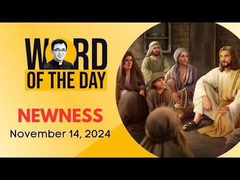NEWNESS | Word of the Day | November 14, 2024 - YouTube